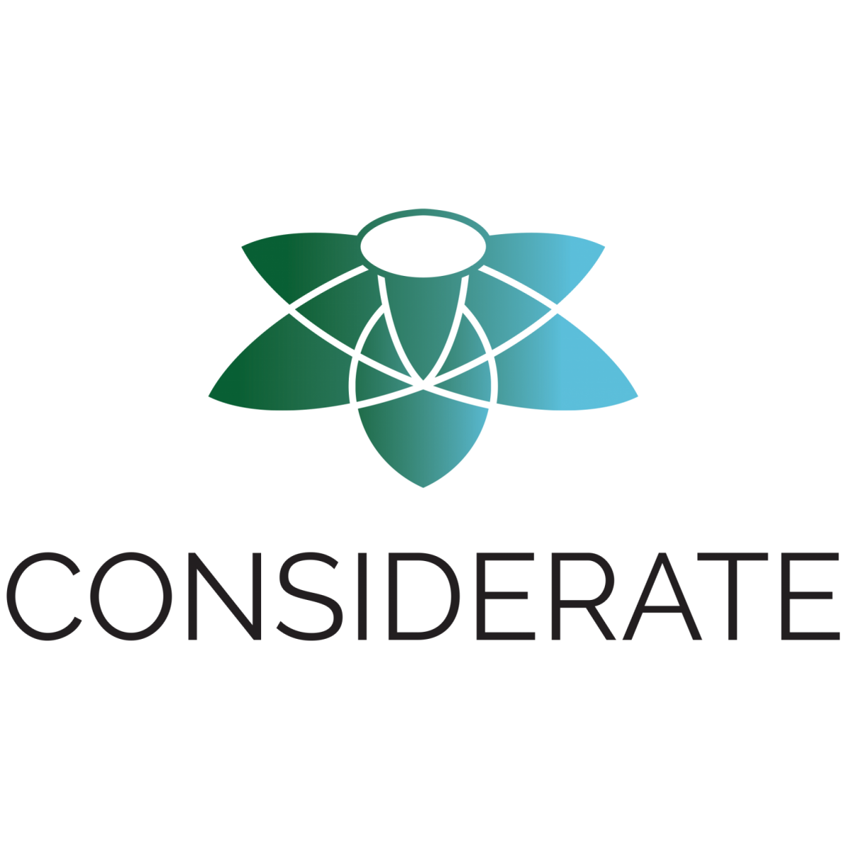 Considerate - Strategic Partner with HSP | Hotel Solutions Partnership